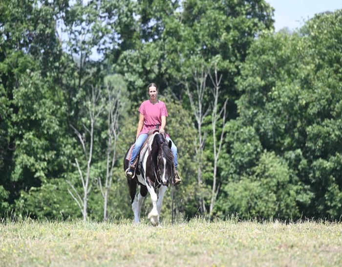 Desty (Friesian horse) - crossvalleyranch