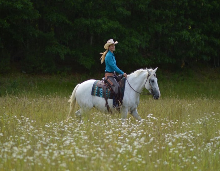 Mabel (Friesian Horse) - crossvalleyranch