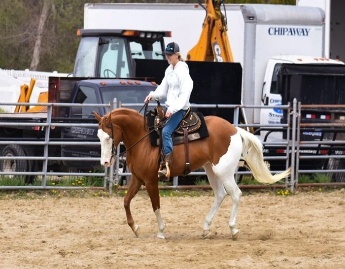 Cheeks (Paint Horse) - crossvalleyranch