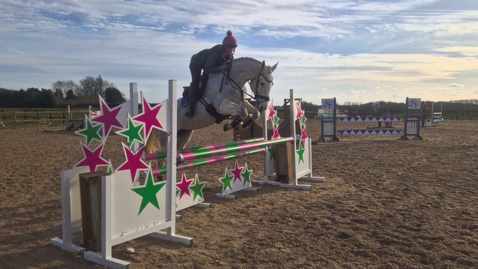 Belly (British Warmblood Horse) - crossvalleyranch