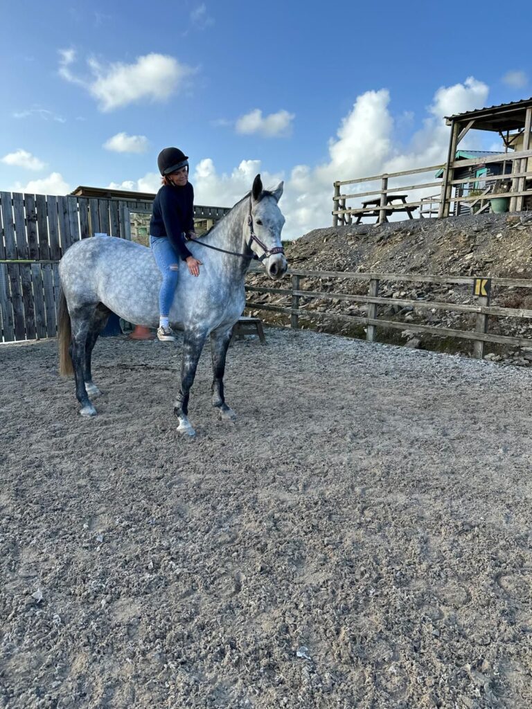 Purdie ((British Warmblood Horse) - crossvalleyranch