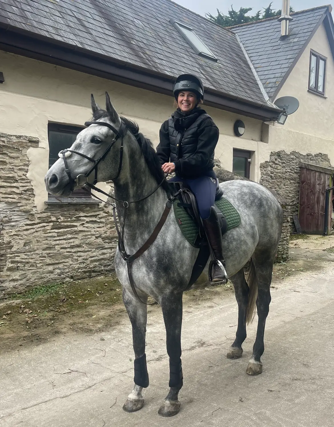 Purdie ((British Warmblood Horse) - crossvalleyranch